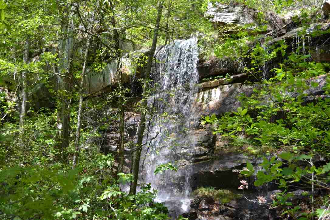 Featured Farms - AgroshareMD