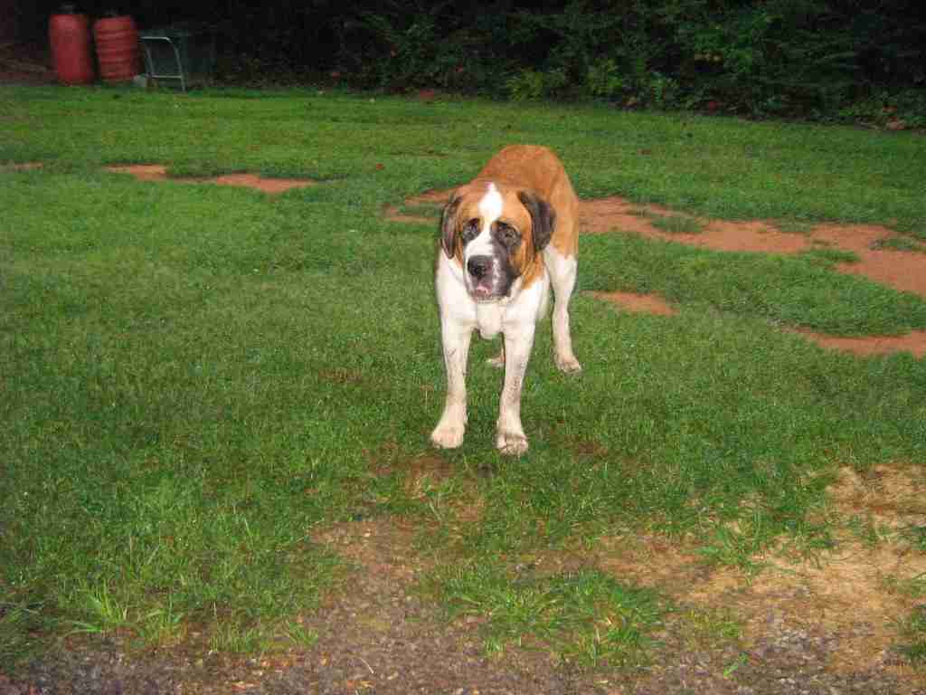 Featured Farms - AgroshareMD