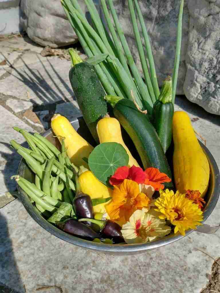 Food Finder - AgroshareMD