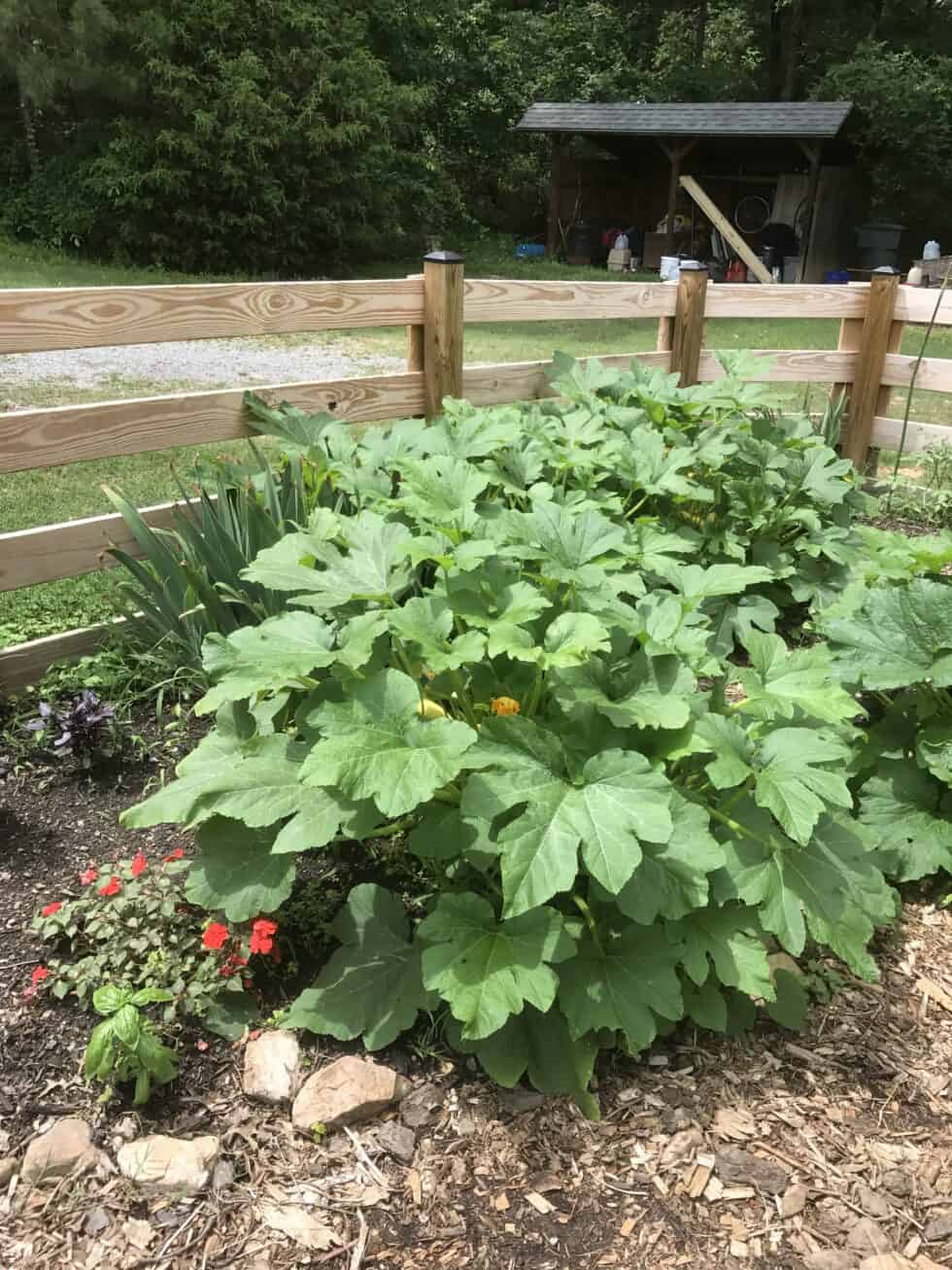 Featured Farms - AgroshareMD